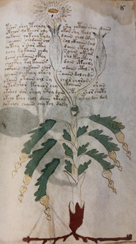 Weird Books & Fictional Documents - Nathan Rutherford